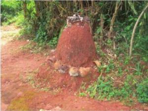 Anyanwu: The Eye of Light | Odinani: The Sacred Arts & Sciences of the ...